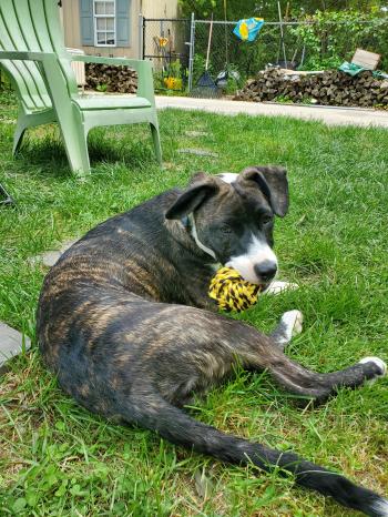 Testimonials Archive - Tri State