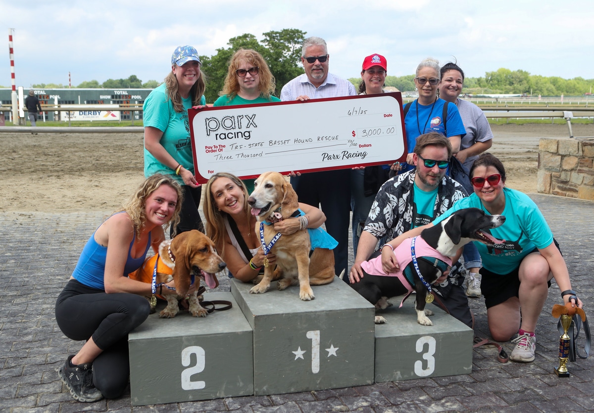 'Bark at the Parx' Basset Hound Racing - Tri State