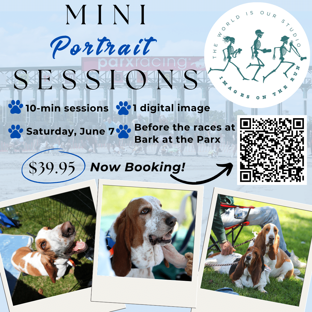 'Bark at the Parx' Basset Hound Racing - Tri State
