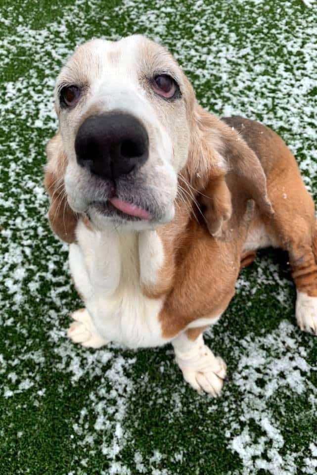 Eleanor Roosevelt aka Ellie - Tri State